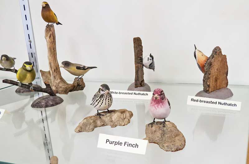 Exhibits | Norcross Wildlife Sanctuary & Foundation