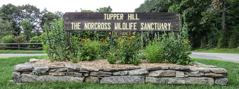 Norcross Wildlife Sanctuary & Foundation