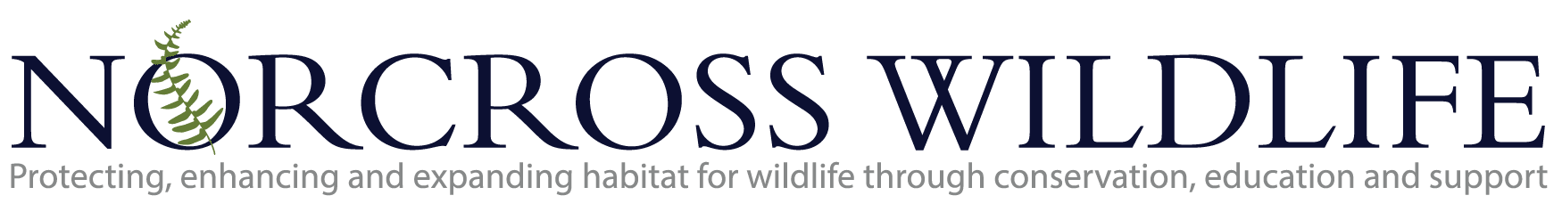 The Short Trail | Norcross Wildlife Sanctuary & Foundation