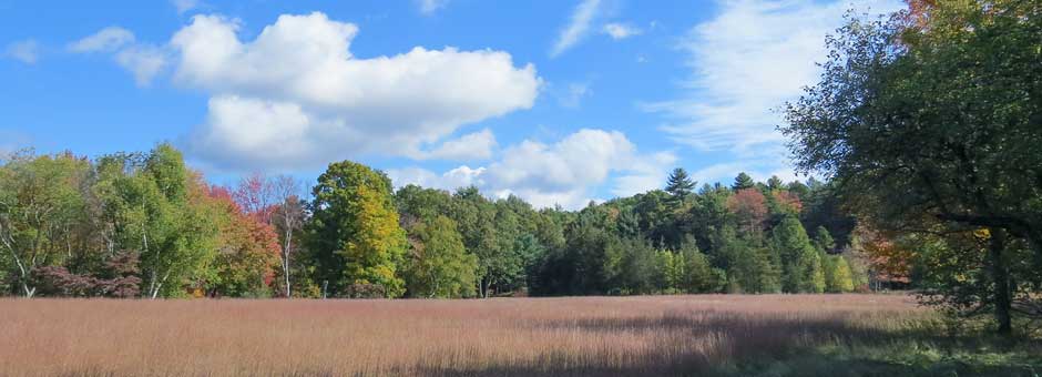 Norcross Wildlife Sanctuary & Foundation