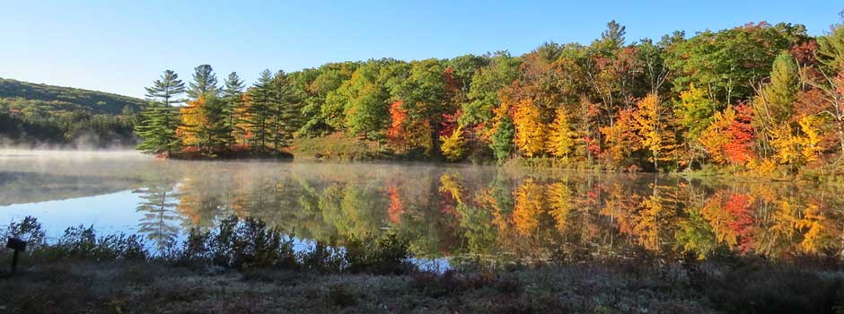 Norcross Wildlife Sanctuary & Foundation