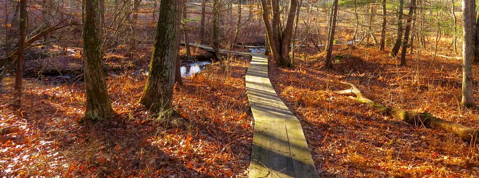 Norcross Wildlife Sanctuary & Foundation